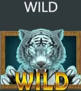 Tiger Lord (เจ้าเสือ) ขอแนะนำเกมสล็อตออนไลน์จาก Askmebet - SLOTXO